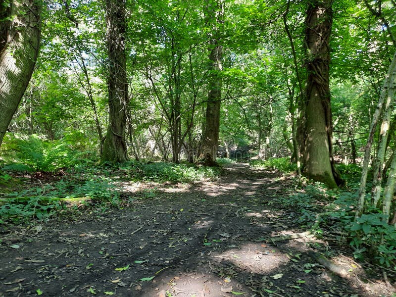 Ercall Stock Photos - Free & Royalty-Free Stock Photos from Dreamstime