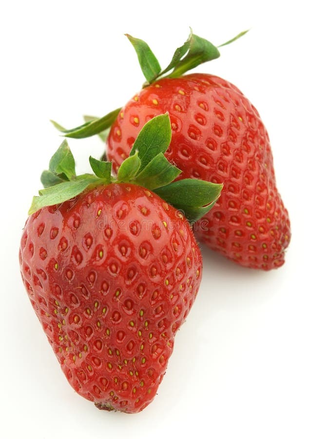 Erdbeere stockfoto. Bild von frische, makro, blatt, beere - 13112284