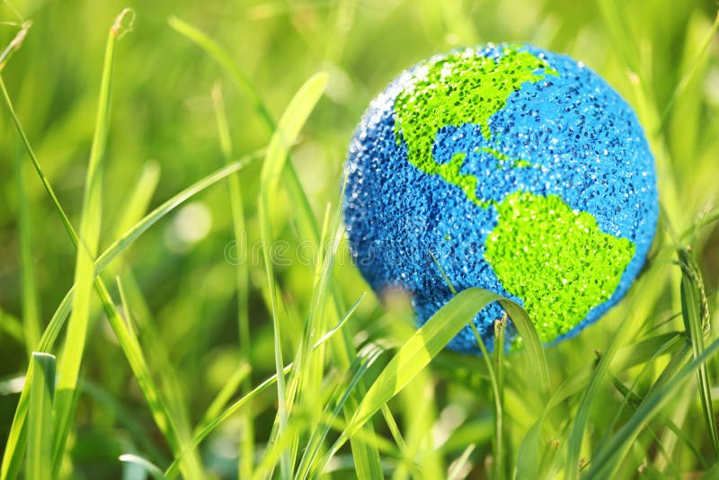 Erde Im Gras Bild. Bild: 5940904