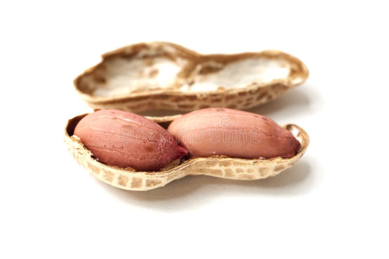 Erdnuss stockfoto. Bild von nahaufnahme, mutter, makro - 12446974