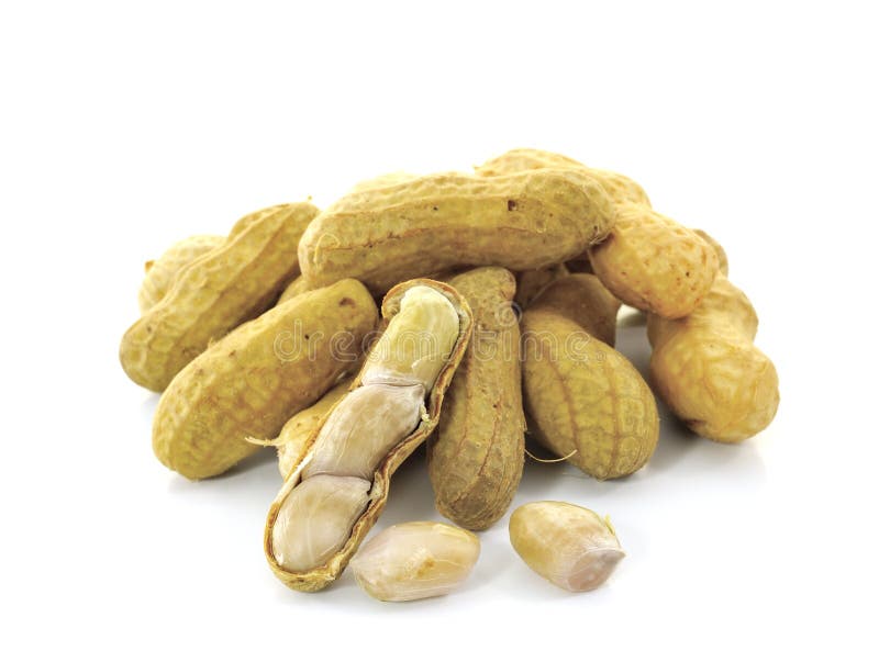 Erdnuss stockbild. Bild von geschmackvoll, betrieb, saisonal - 26136831