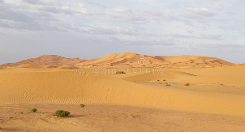 Erg Chebbi Marokko, Erg Chebbi Morocco Stock Image - Image of chebbi ...