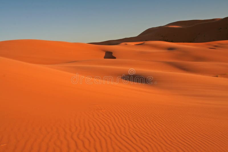 Desert Panorama - Sand Dunes - Sahara, Libya Stock Image - Image of ...