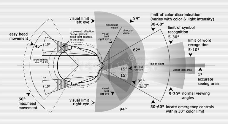Ergonomics Optimal Angle View. Human Sight Range Stock Vector ...