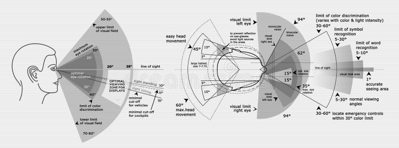 Ergonomics Optimal Angle View. Human Sight Range Stock Vector ...