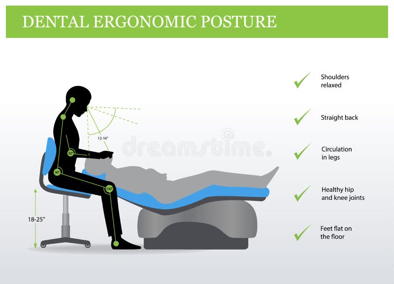 Ergonomie in Tandheelkunde Correcte Houding Vector Illustratie ...