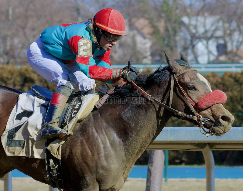 Eric Cancel - Pot of Honey editorial stock image. Image of american ...