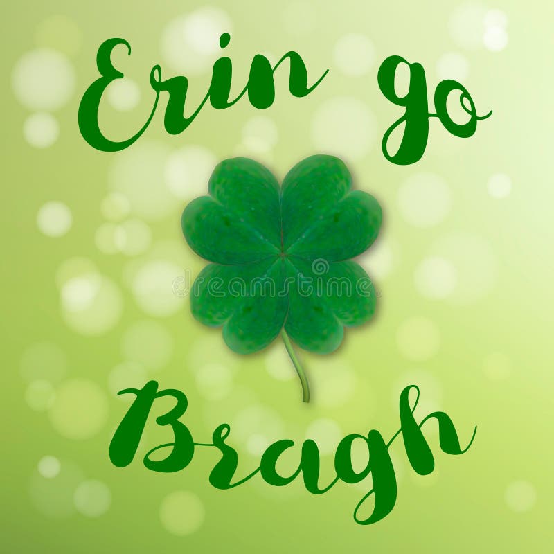 Erin Go Bragh. Lettering Typography with Four Leaf Clover. Stock Vector ...