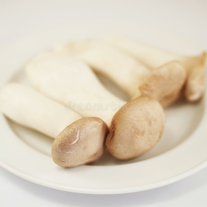 Eringi Mushroom stock image. Image of healthy, tree, ingredient - 30538811