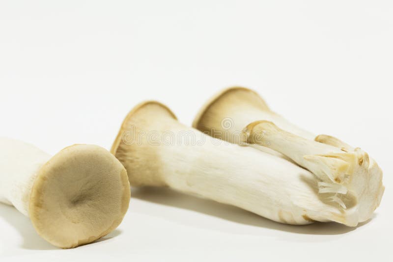 Eringi stock photo. Image of cooking, pleurotus, vegetarian - 50078616