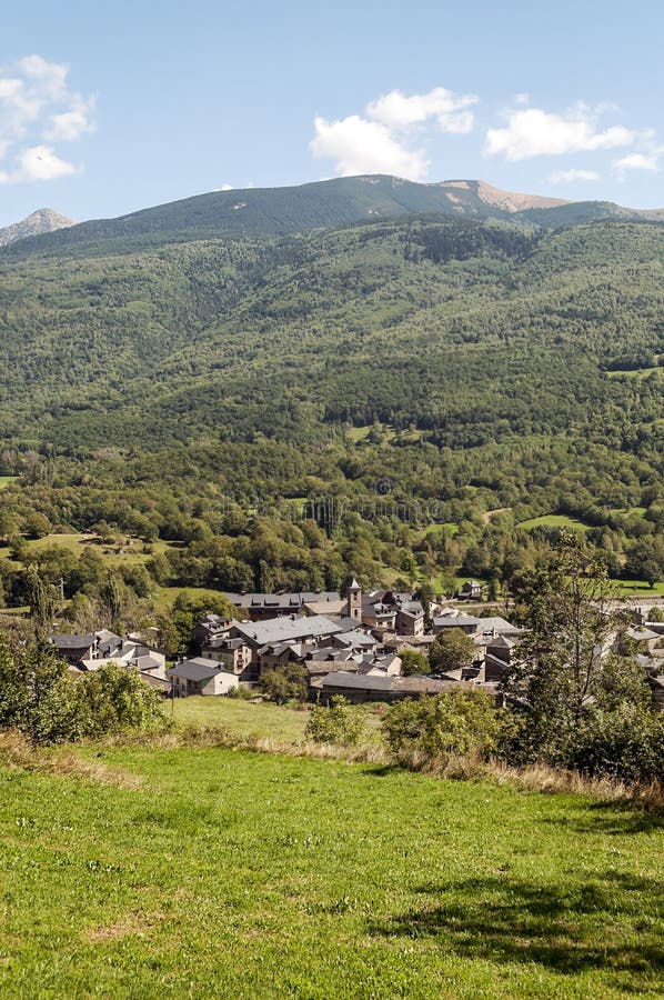 Eriste by fotografering för bildbyråer. Bild av fjäder - 34893173