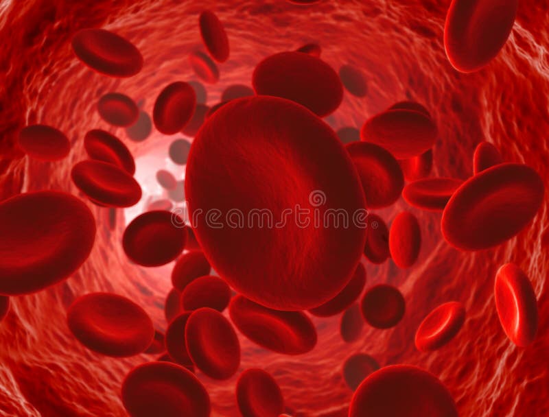 Sangue ilustração stock. Ilustração de hematologia, vermelho - 24169385