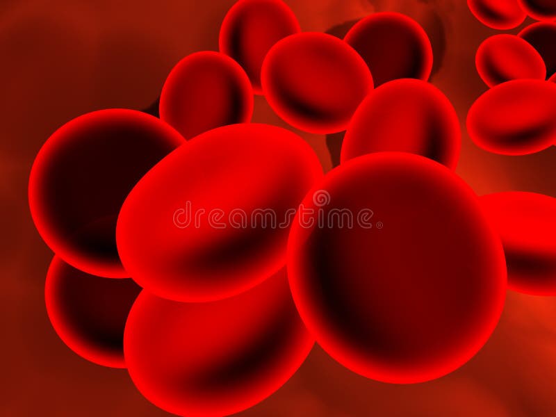 Eritrociti illustrazione di stock. Illustrazione di anatomia - 67940175