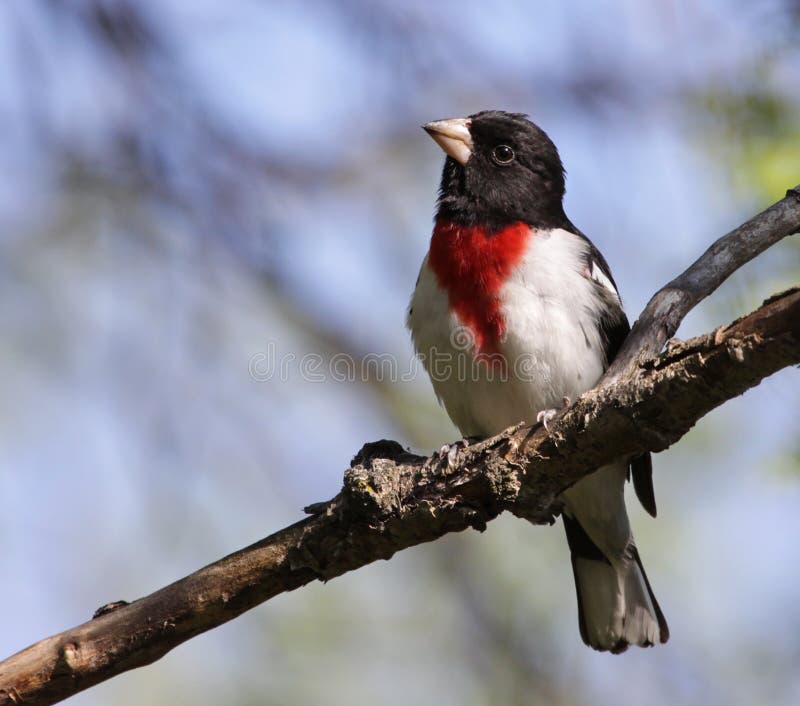 4,229 Erkundigen Stock Fotos - Freie & Royalty-Free Stock Fotos von ...