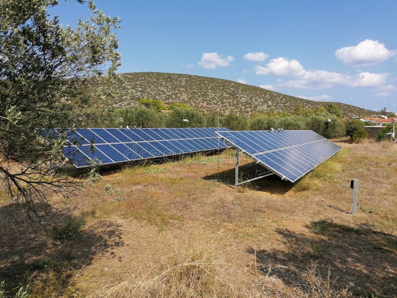 Ermioni Greece Solar Panel Photovoltaic Electricity Array in Olive ...