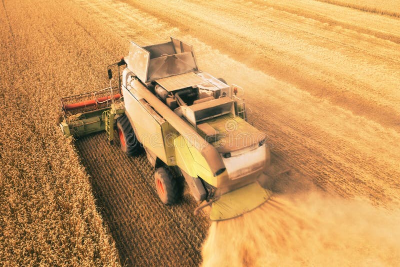 Ernte Von Getreide Im Feld. Stockfoto - Bild von maschinerie ...