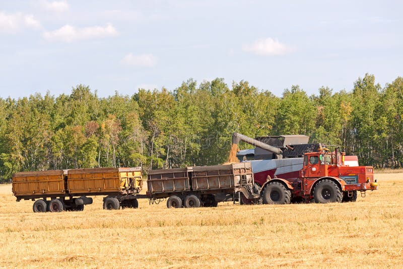 Ernten der Ernten stockbild. Bild von saatgut, bild, verkehr - 29085555