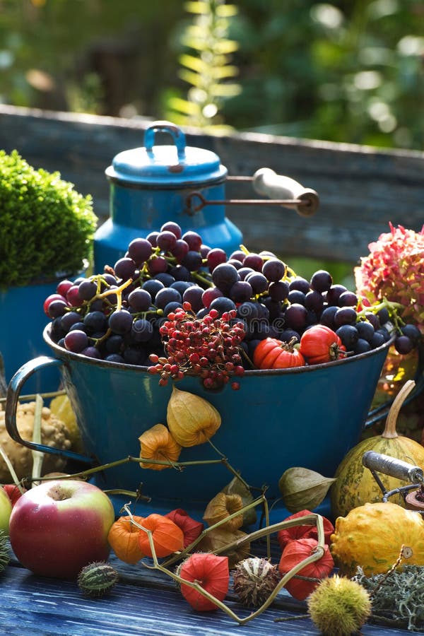 Colorful Harvest Time in the Garden Stock Image - Image of hips, fall ...