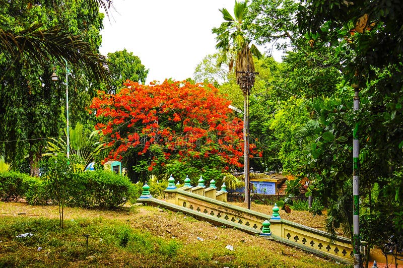 Erode park stock photo. Image of place, beautiful, tree - 56395510