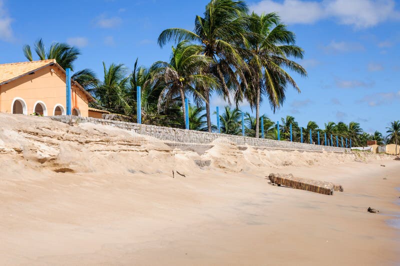 Eroded Beach with Palms, Pititinga, Natal (Brazil) Stock Photo - Image ...