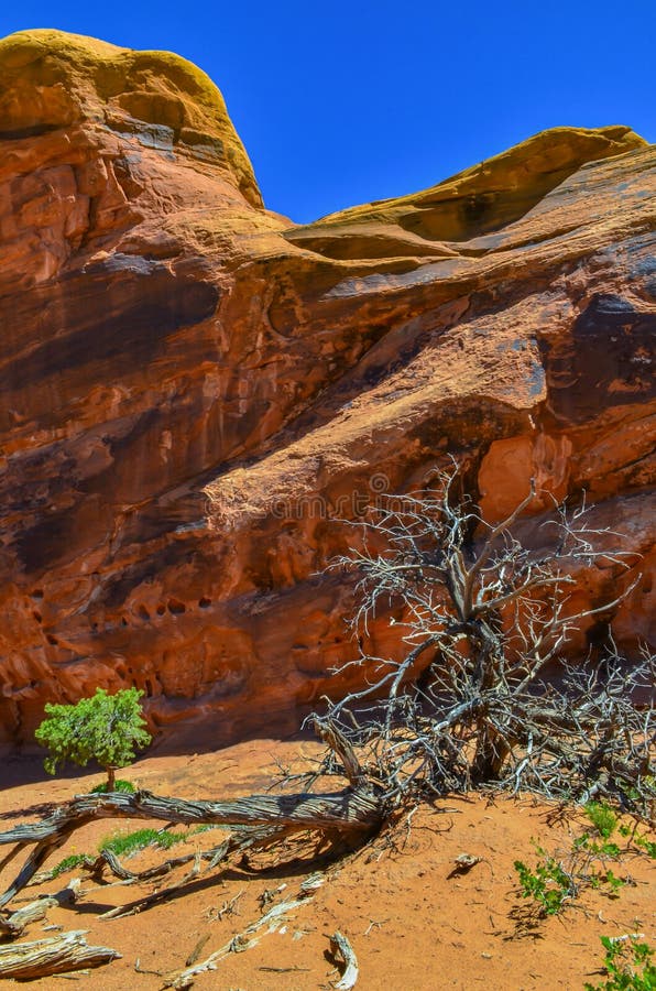 Landscape Arches National Park Stock Photo - Image of utah, boulders ...