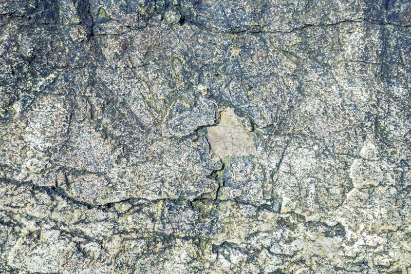 Eroded Marine Rocks, Coastal Texture Stock Photo - Image of coastline ...