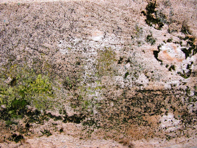 Eroded rock texture stock photo. Image of dark, green, rock - 987310
