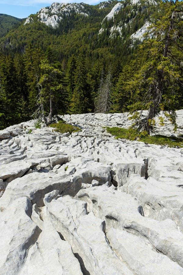 Eroded Rocks Limestone Pavements Velebit Mountain Stock Photos - Free ...