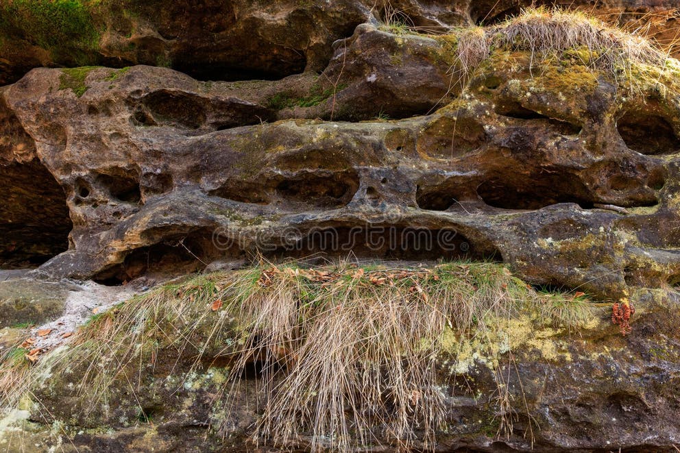 Eroded Sandstone Cliff with Grass and Moss in Nature Setting Stock ...