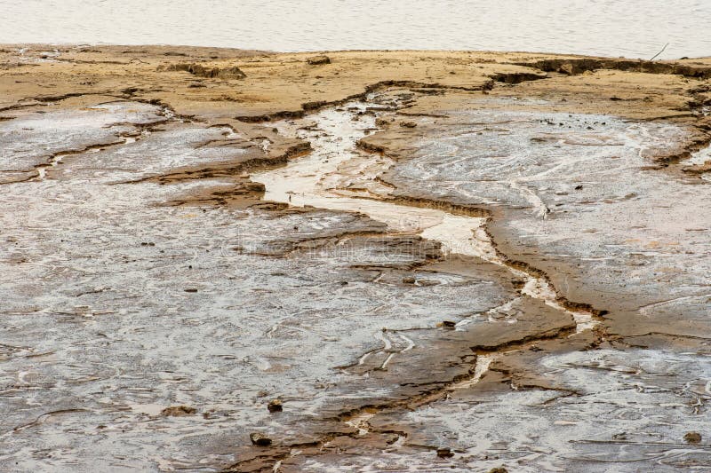 Erosion Caused by Draining a Lake of Water Stock Photo - Image of tree ...