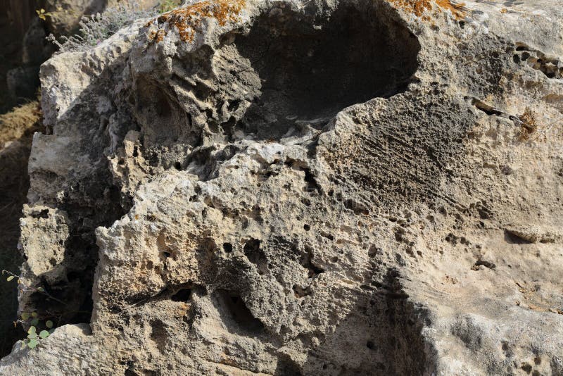 Erosion of the Sandstone and Limestone on the Mediterranean Coast Stock ...
