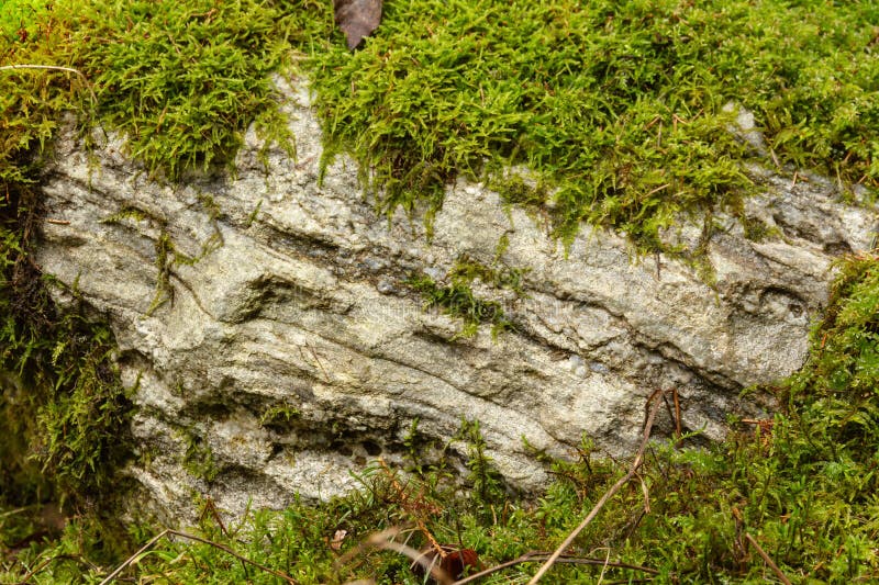 Erosion of a Stone Covered with Moss Stock Photo - Image of erosion ...