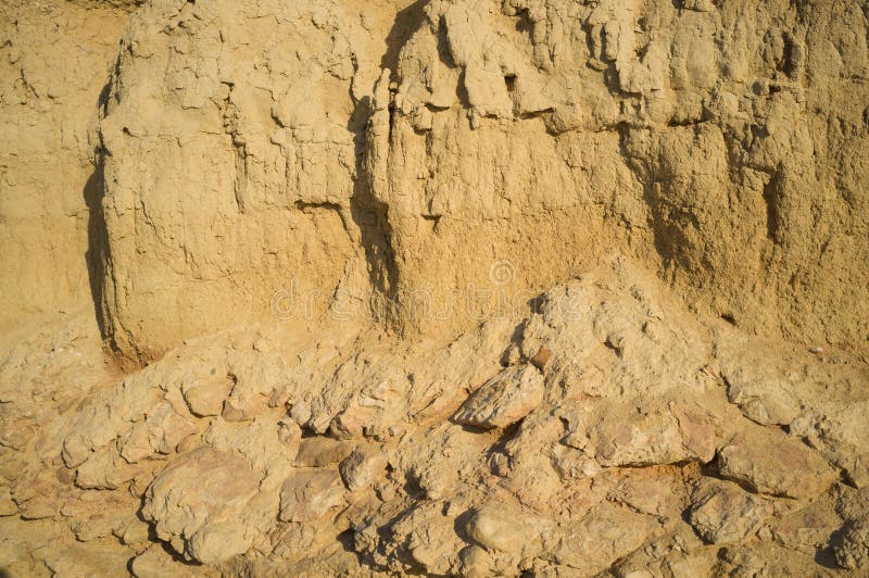 Erosion stock image. Image of pine, earth, soil, danger - 29050863