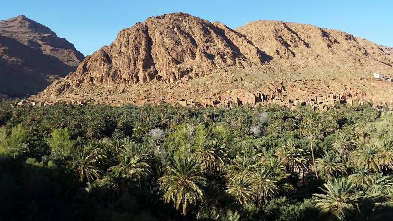 Errachidia marocco stock photo. Image of palms, sahara - 54465334