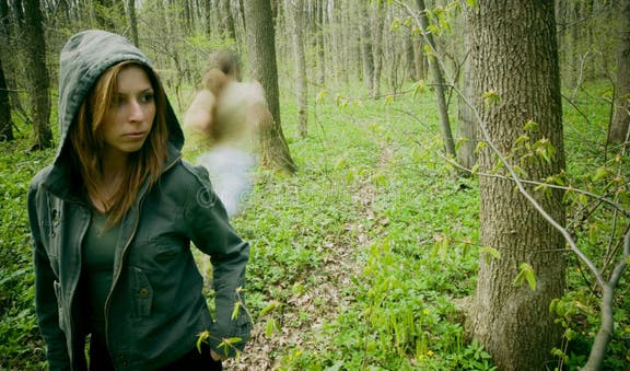 Errer photo stock. Image du explorez, adulte, dense, curieux - 2501662