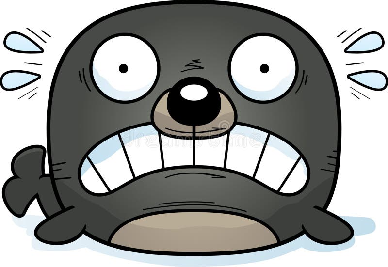 Erschrockene Karikatur-Robbe Vektor Abbildung - Illustration von heck ...