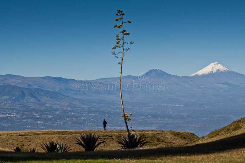 Erstaunliche Ansicht Von Cotopaxi-Vulkan, Ecuador Stockfoto - Bild von ...