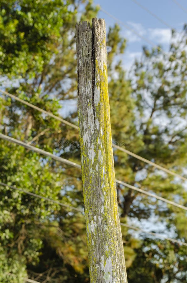 Erect Old Post stock photo. Image of yellow, cables - 276544476