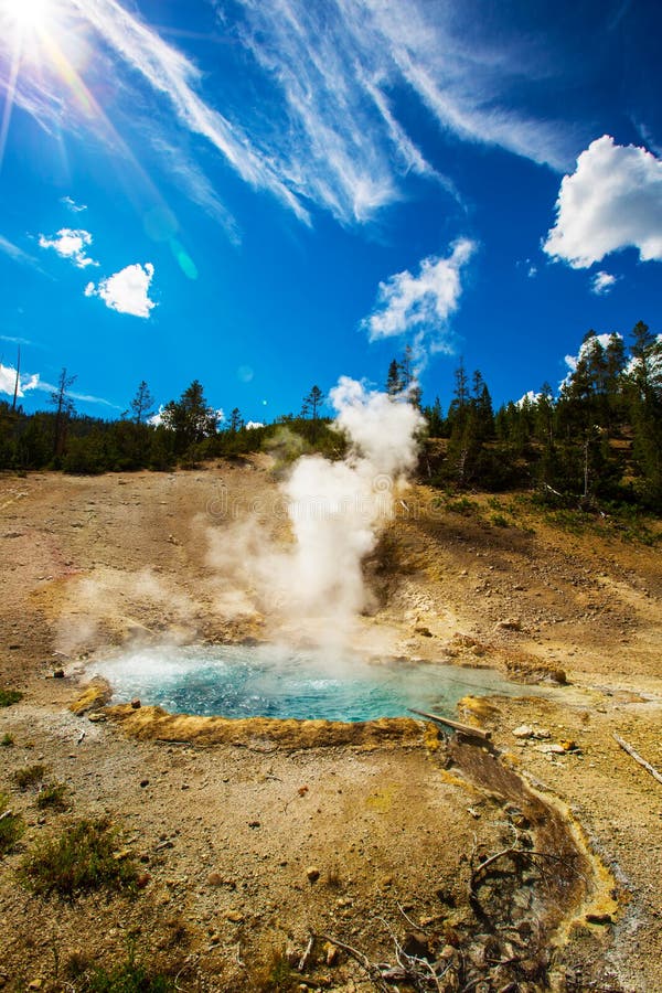 The Geothermal in Yellowstone Park Stock Image - Image of spring, tree ...