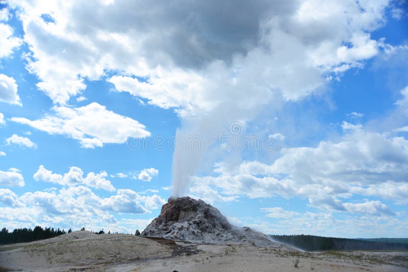 Eruption of White Dome Geyser at Yellowstone Stock Photo - Image of ...