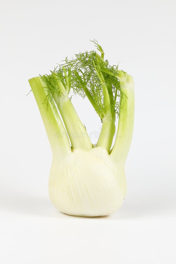 Erva Da Folha Da Raiz Da Erva-doce Foto de Stock - Imagem de frescor ...