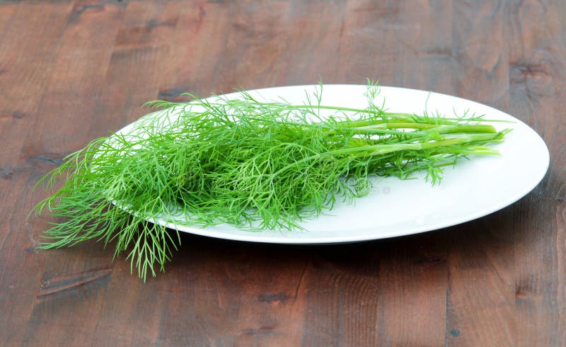 Erva Verde Fresca Do Aneto Do Grupo Imagem de Stock - Imagem de nave ...