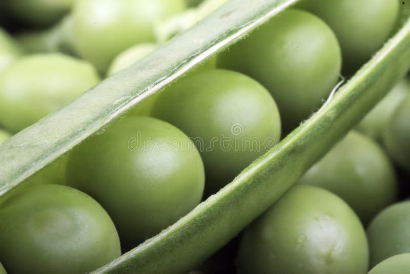 Ervilhas verdes foto de stock. Imagem de fileira, maduro - 30452734