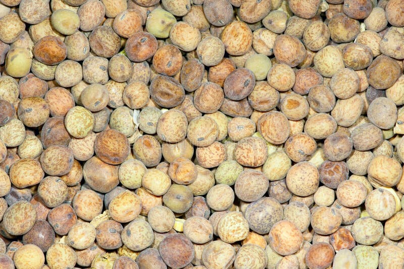 Erwt stock afbeelding. Image of achtergrond, erwt, gewas - 22125835