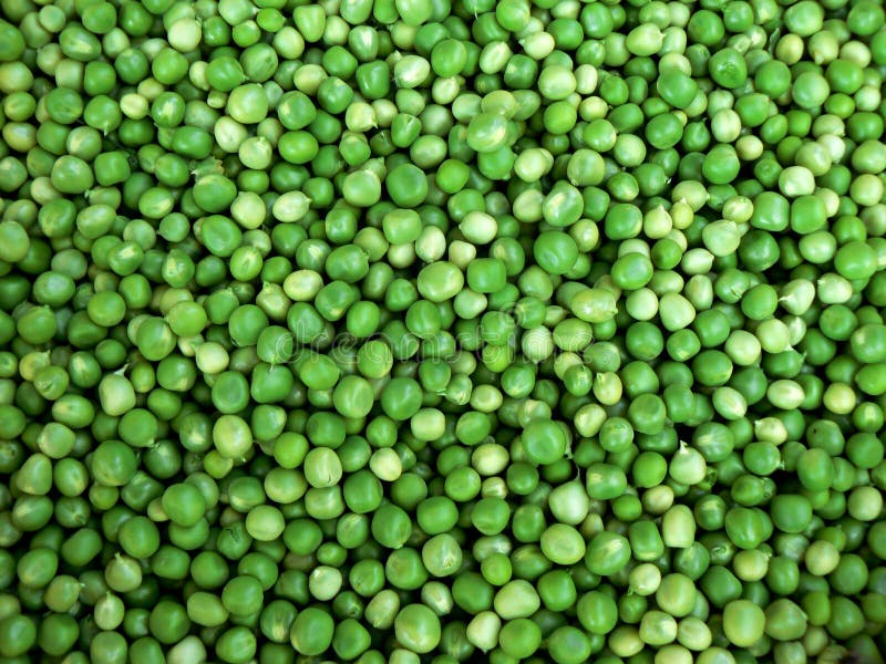 Erwt stock foto. Image of kromme, diëet, versheid, gewas - 5886212