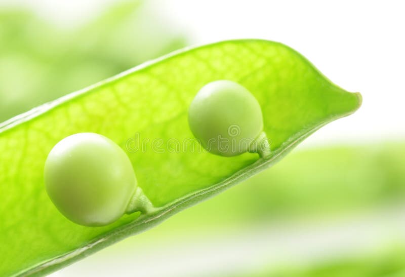 Erwten stock foto. Image of erwt, voedsel, keuken, groen - 15027694