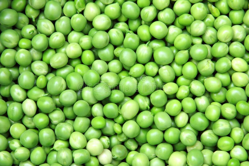 Erwten stock foto. Image of roestig, vers, velen, smakelijk - 66790408
