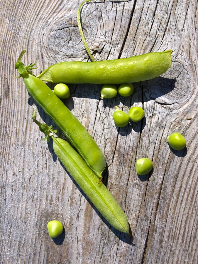 Erwten en peulen stock foto. Image of zomer, oogst, vers - 10544048