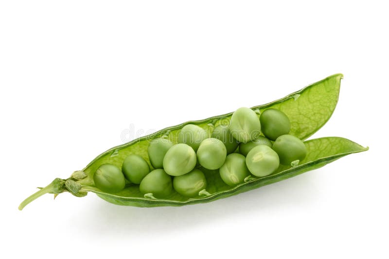 Groene Ge?soleerde Erwt Groep Verse Rijpe Ruwe Erwtenpeulen En Open Die ...