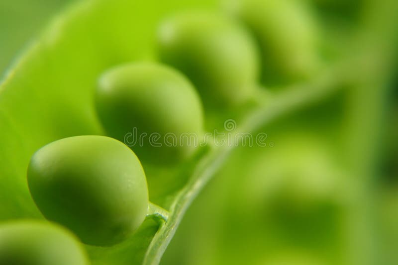 Erwten in peul stock afbeelding. Image of structuur, boete - 4539389